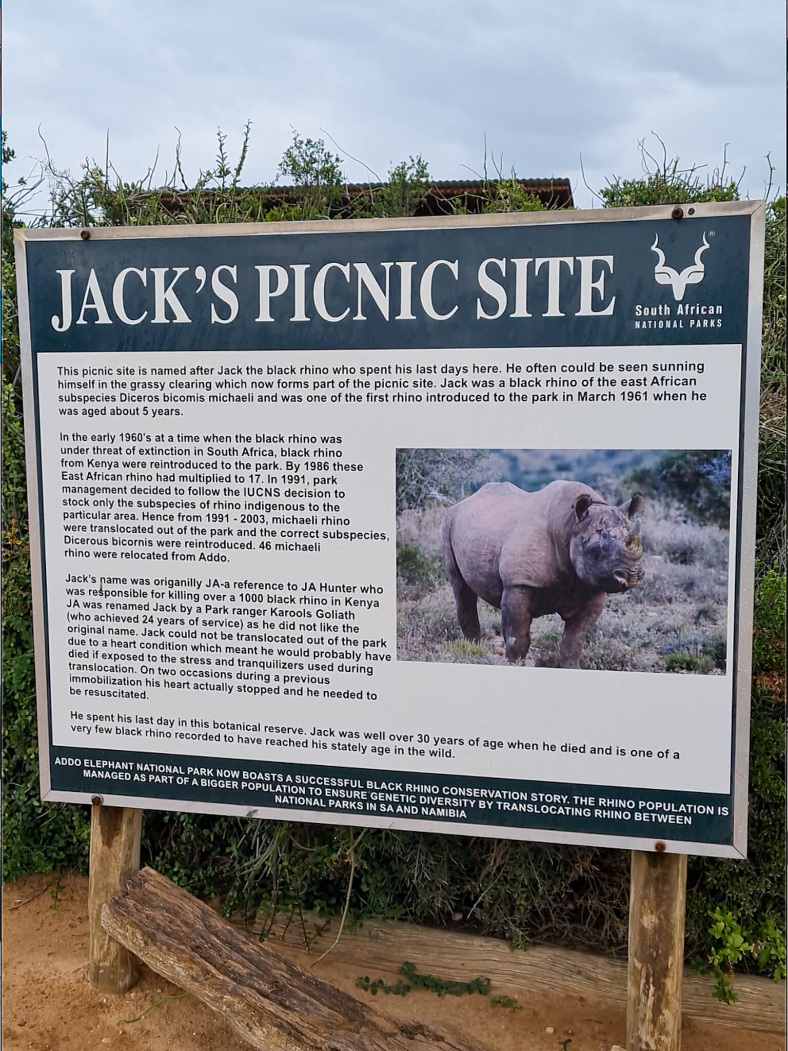 What is it like to visit the Addo Elephant Park - The Curious Journal